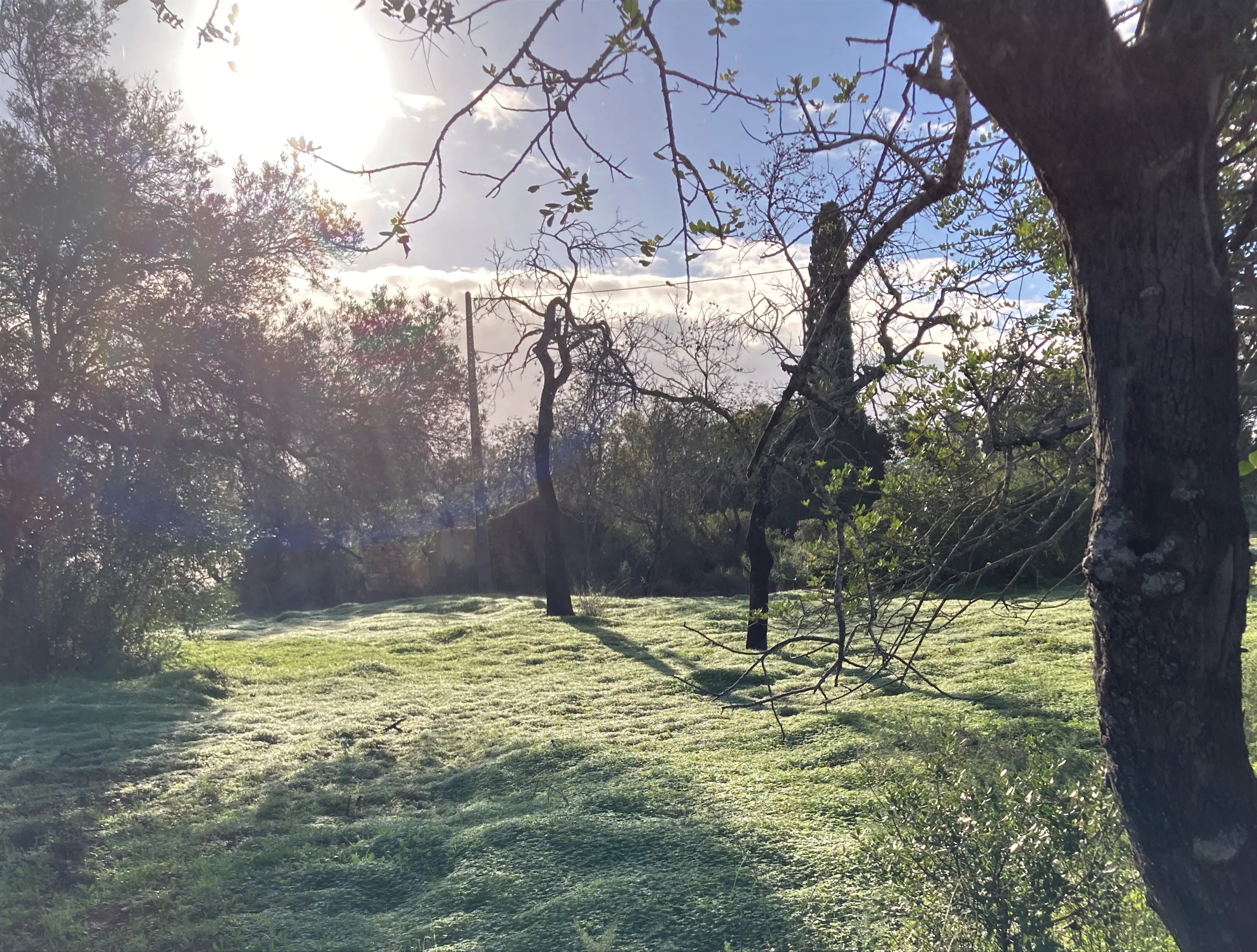 Kleewiese Dez 2022 – Algarve