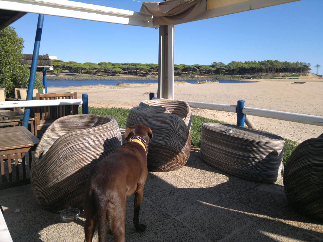 Praia do Almargem B & J 3 – Algarve