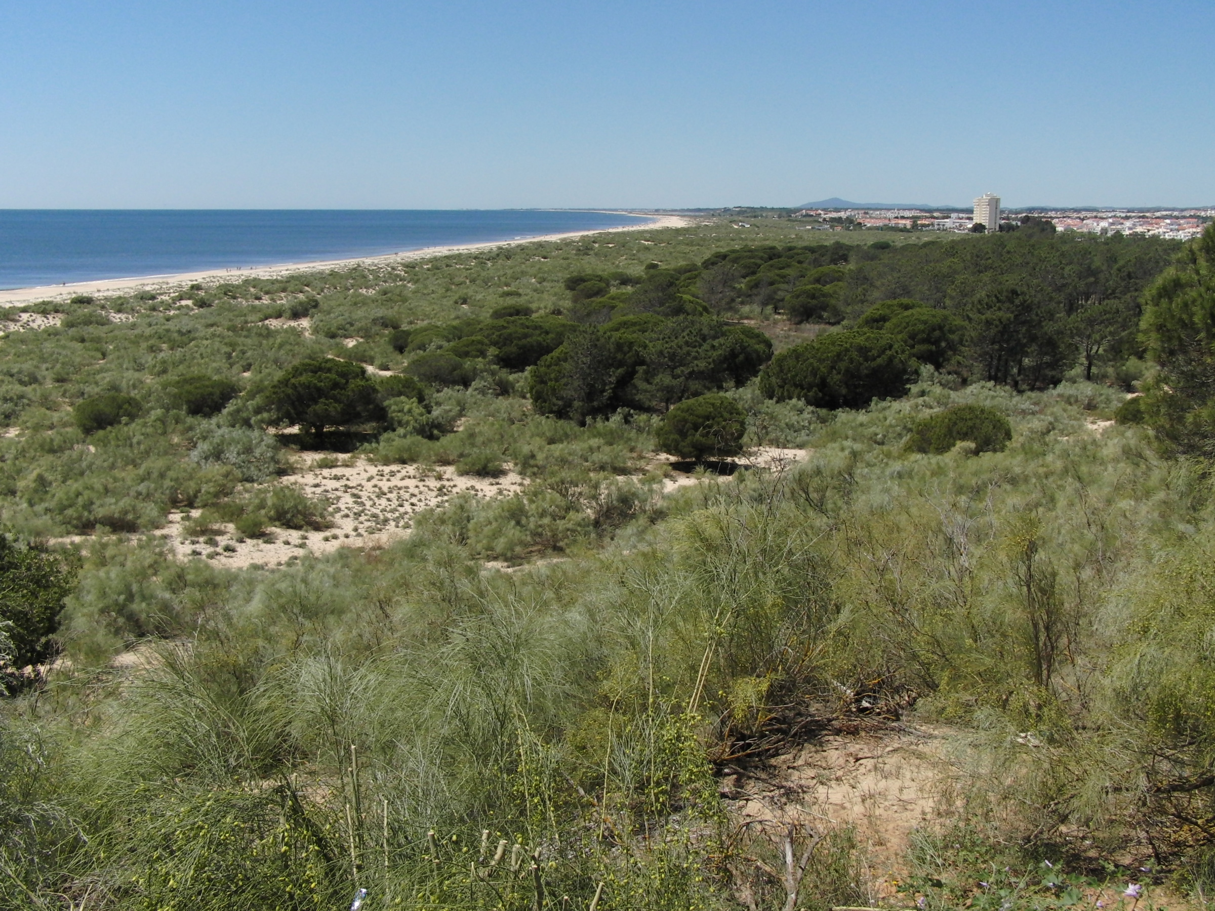 Altura-02 – Algarve