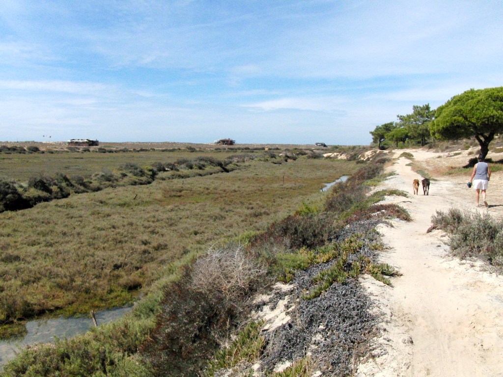 Peninsula de Ancao – Algarve