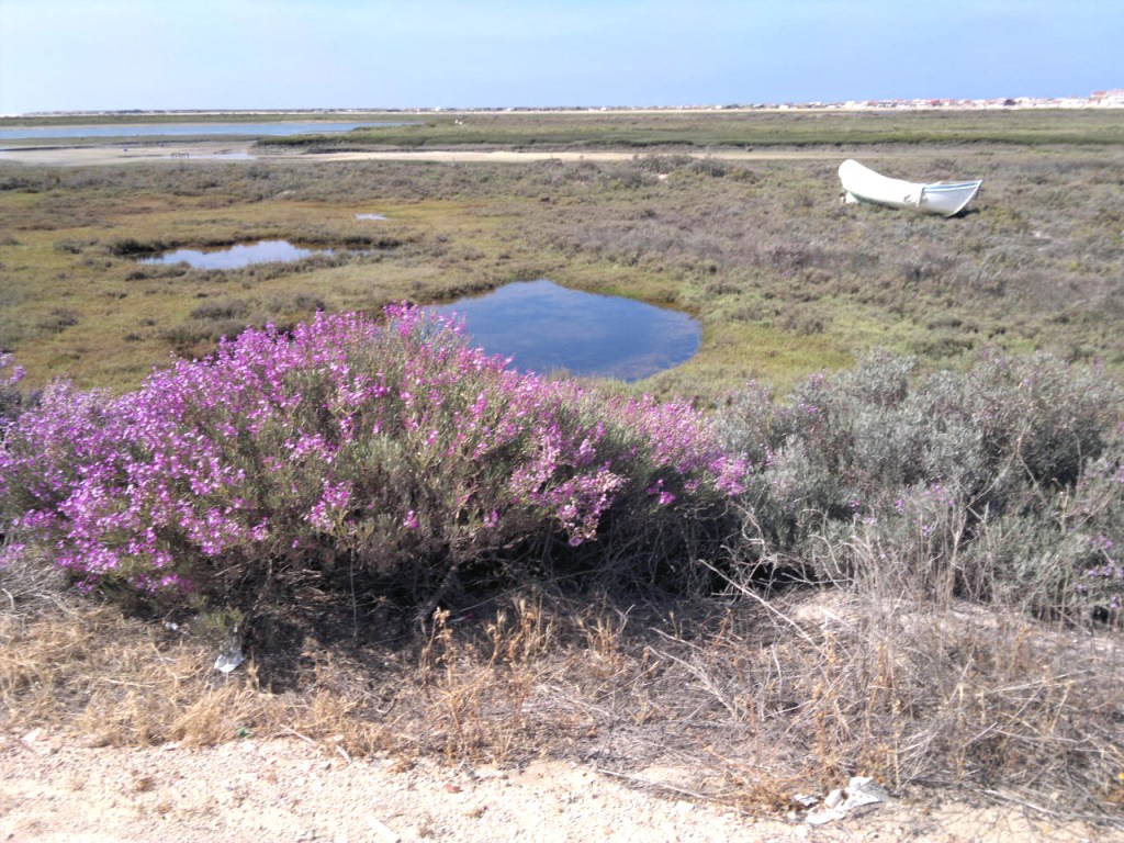 Faro – Salzmarschen der Ria Formosa – Algarve
