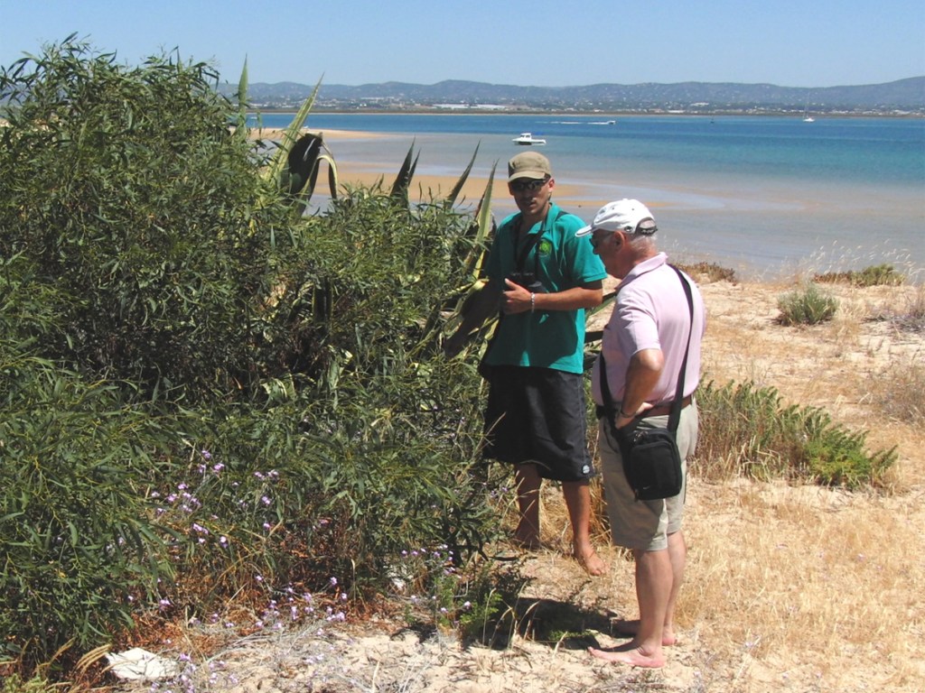 Ria Formosa Fauna – Algarve