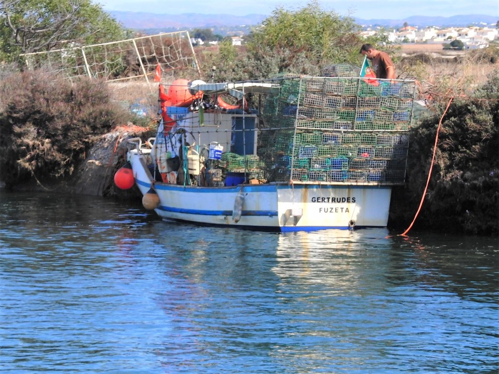 Ria Formosa Fauna – Algarve